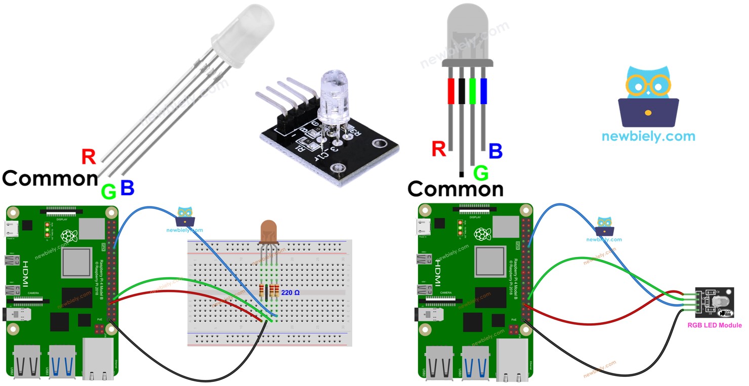 Raspberry Pi - LED RVB